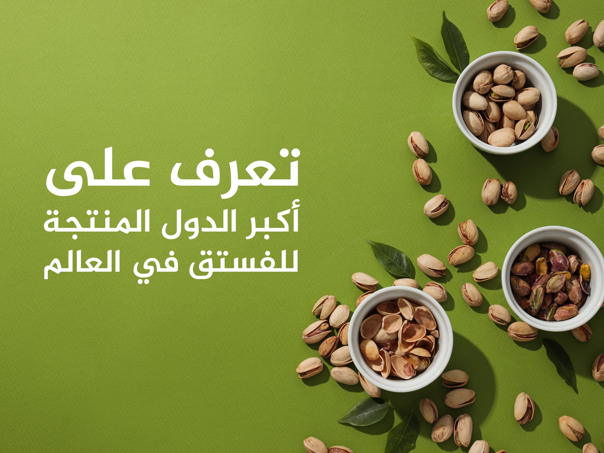 The 10 largest producing and exporting pistachio countries in the world ...